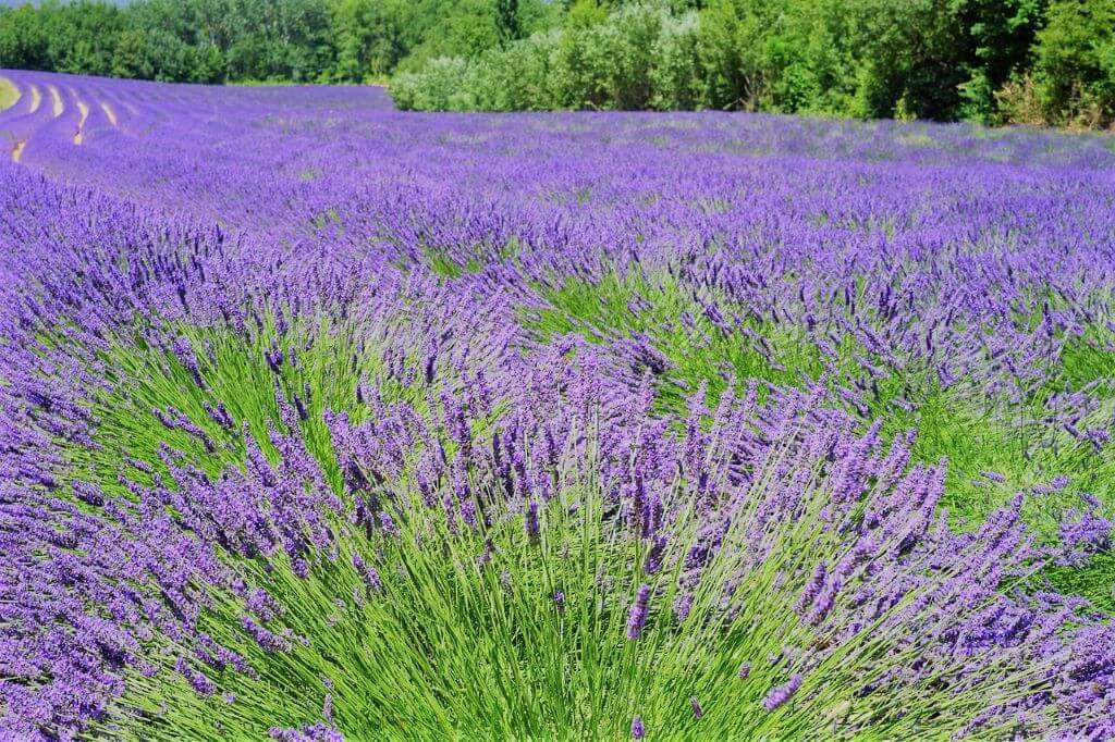 10 Exciting Day Trips From Grand Rapids - Cheerful Trails